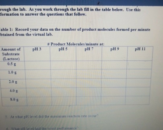 rough the lab. As you work through the lab fill in | Chegg.com