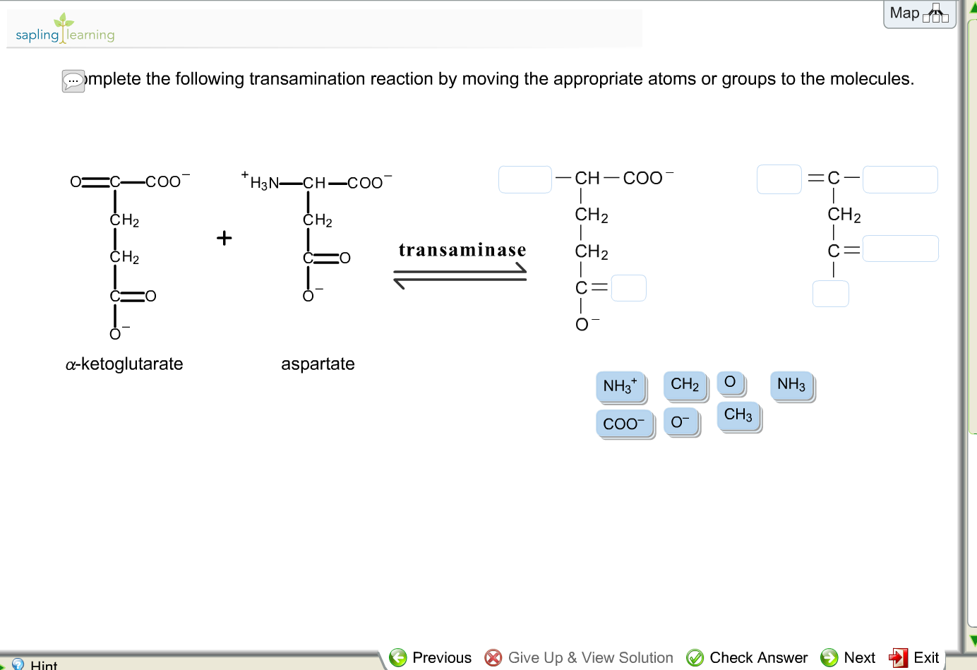 Complete the following transamination reaction by | Chegg.com