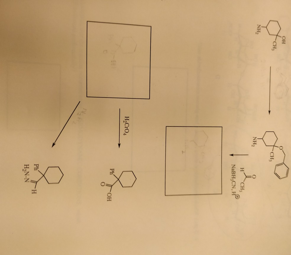 Solved OH CH -CH3 NH NH2 NaBH CN H2CrO4 Ph OH Ph H2N-N | Chegg.com