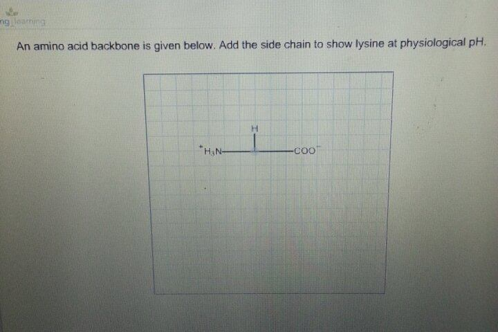 Solved: An Amino Acid Backbone Is Given Below. Add The Sid... | Chegg.com