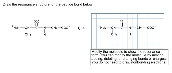 Solved Draw the resonance structure for the peptide bond | Chegg.com