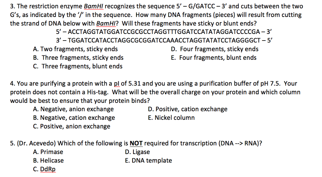Solved The Restriction Enzyme Bamhi Recognizes The Sequence