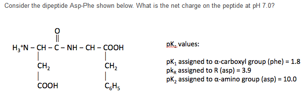 Solved Consider the dipeptide Asp-Phe shown below. What is | Chegg.com