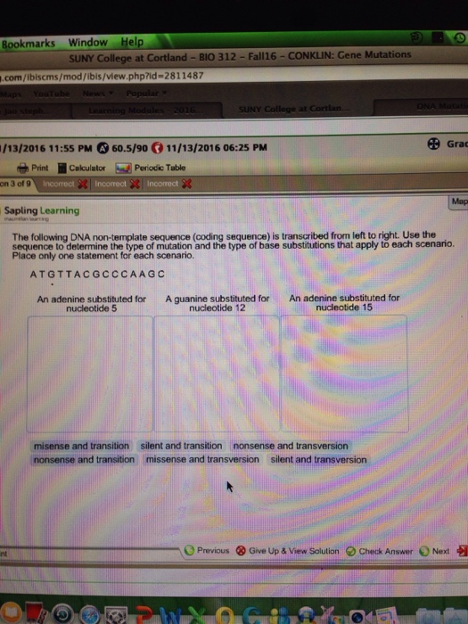 Solved The Following Dna Non Template Sequence Coding 