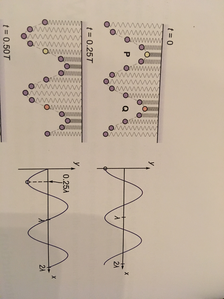 Solved A transverse wave propagates in a system of | Chegg.com