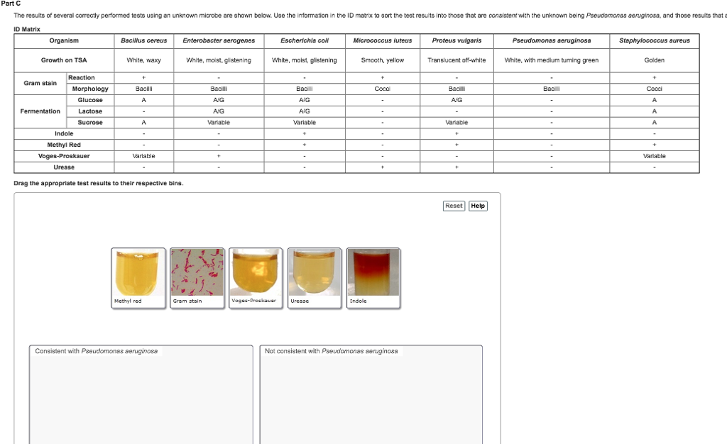 Part C The results of several correctly performed | Chegg.com