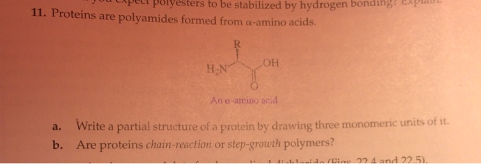 Solved Protines are polyamides formed from alpha-amino | Chegg.com