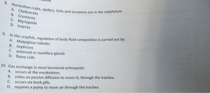Solved Horseshoe crabs, spiders, ticks and scorpions are in | Chegg.com