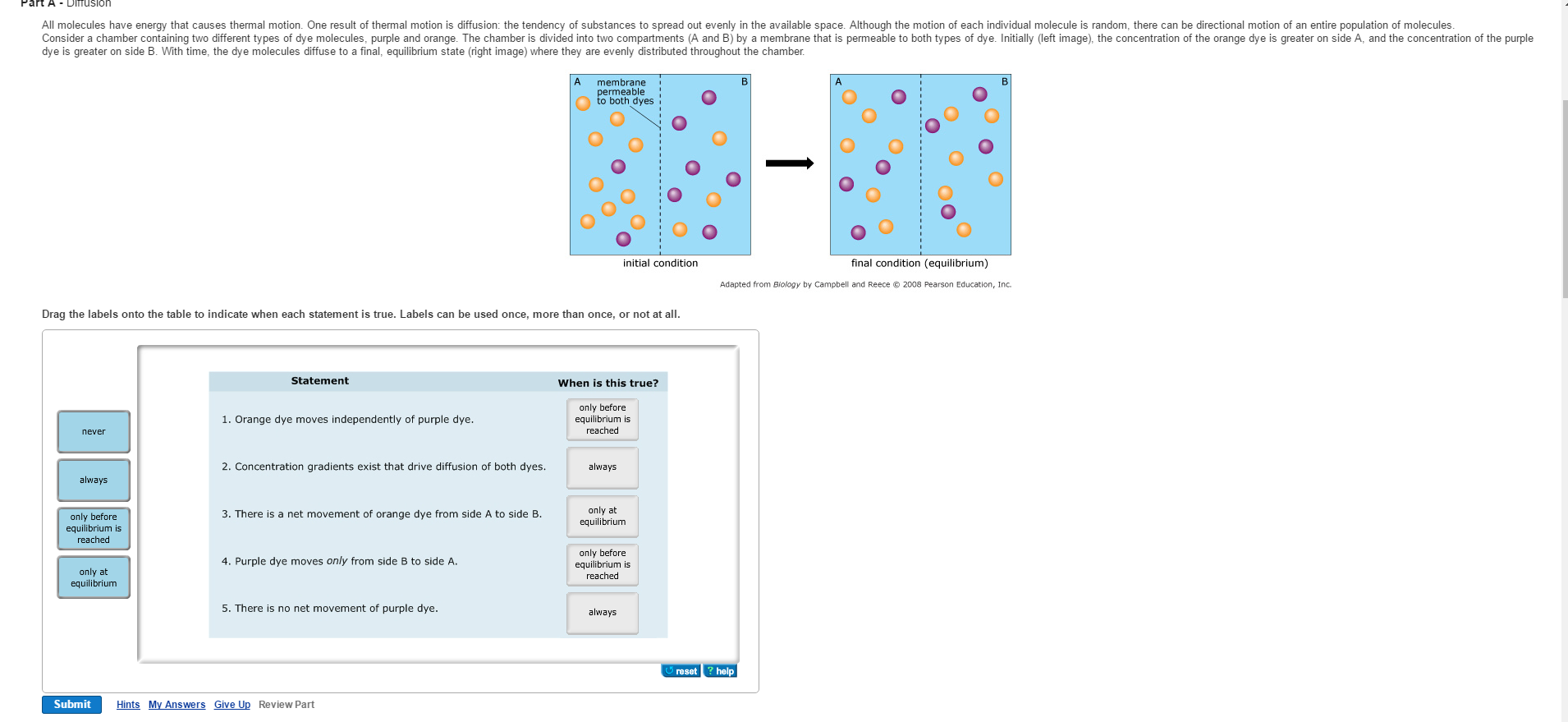 Solved Diffusion Help. | Chegg.com