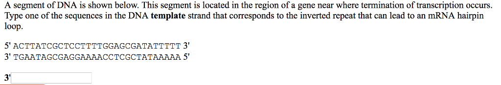 Solved A segment of DNA is shown below. This segment is | Chegg.com