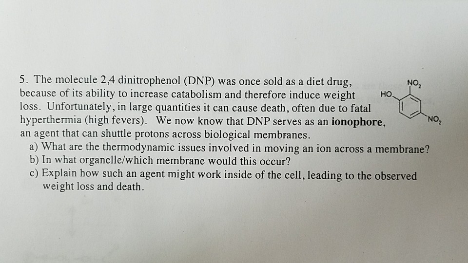 Solved 5. The molecule 2,4 dinitrophenol (DNP) was once sold | Chegg.com