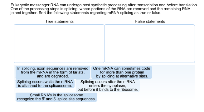 Solved Eukaryotic messenger RNA can undergo post synthetic | Chegg.com