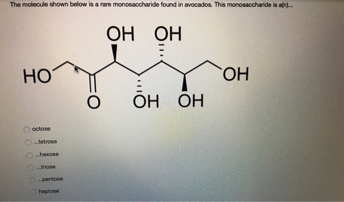 Solved The molecule shown below is a rate monosaccharide | Chegg.com