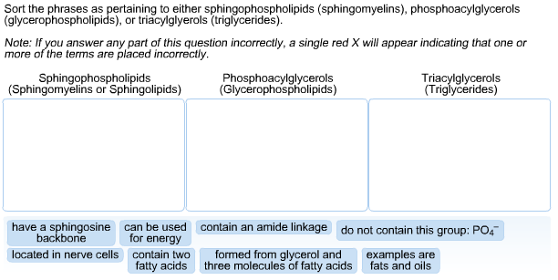 Solved Sort the phrases as pertaining to either | Chegg.com