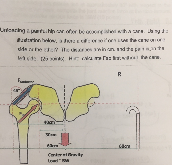Solved Unloading a painful hip can often be accomplished | Chegg.com