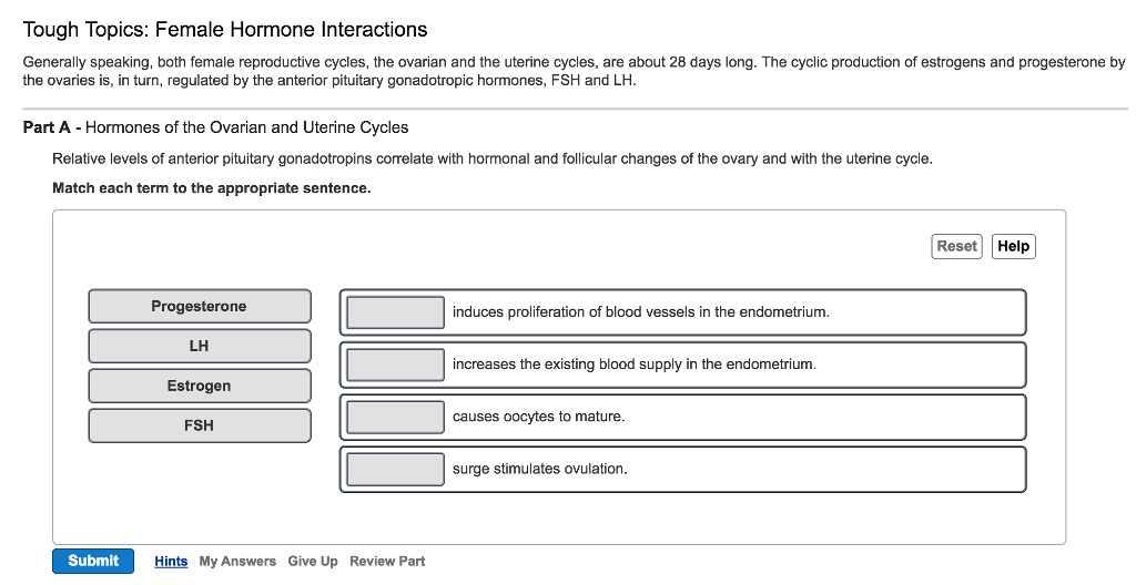 Solved Tough Topics: Female Hormone Interactions Generally | Chegg.com