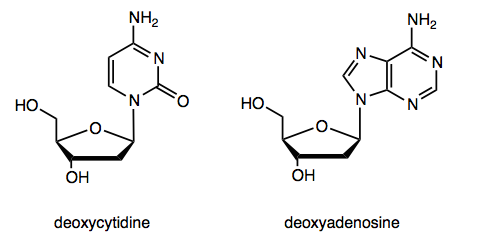Solved (a) Simple aminoacetals hydrolyze quickly and easily | Chegg.com