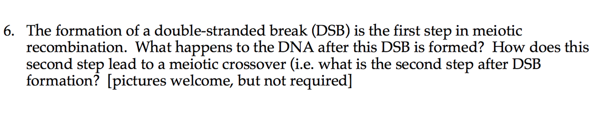 Solved The formation of a double-stranded break (DSB) is the | Chegg.com