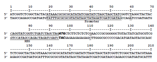 Solved 1. Below are 210 consecutive base pairs of DNA that | Chegg.com