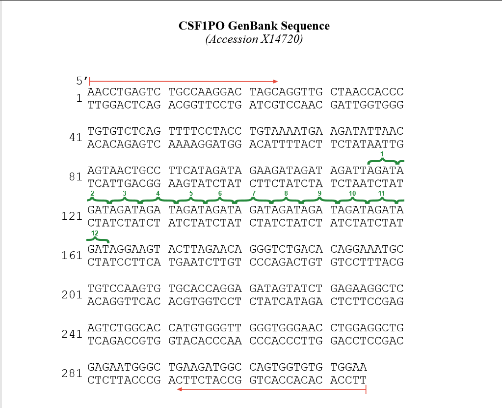 Solved Short tandem repeat (STR) analysis uses DNA loci that | Chegg.com