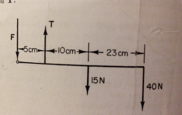 Solved A person with upper arm vertical and forearm | Chegg.com