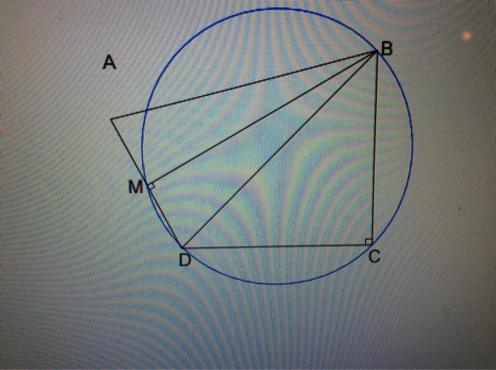 Solved For ABCD a convex quadrilateral with AB = 13 = BD, BC | Chegg.com