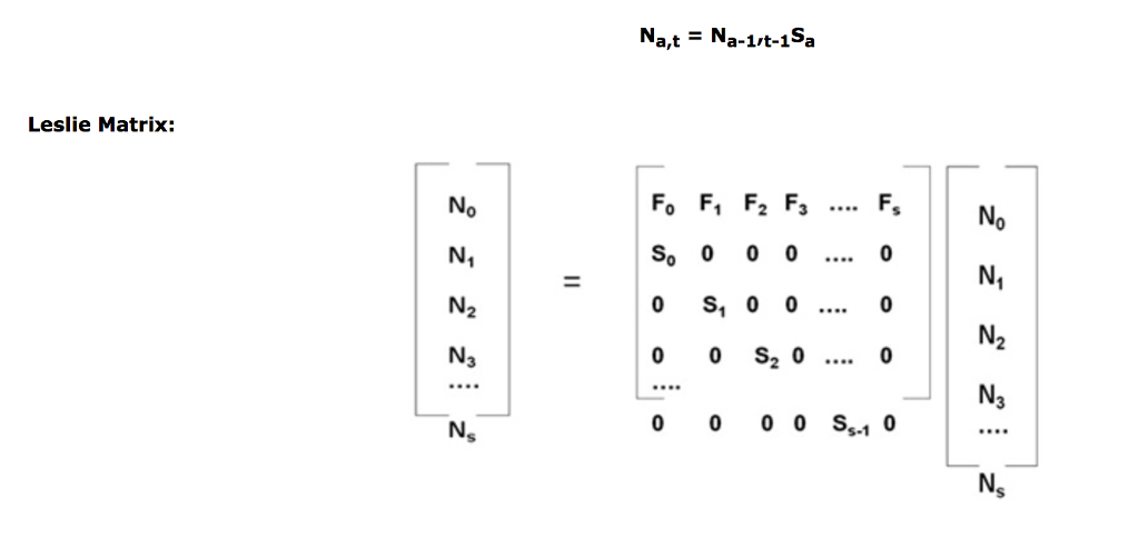 Solved Create a 8x8 matrix using Leslie matrix for | Chegg.com Solved Create a 8x8 matrix using Leslie matrix for | Chegg.com