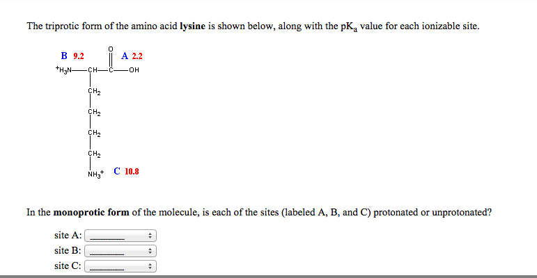 Solved Site A:Protonated or Unprotonated? Site B:Protonated | Chegg.com