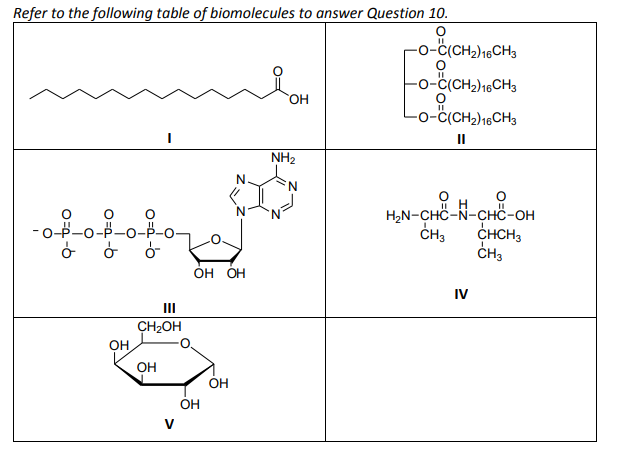 Solved Refer to the following table of biomolecules to | Chegg.com