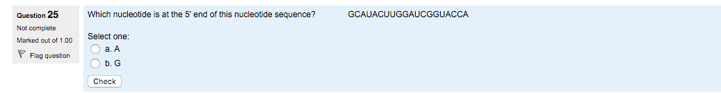 Solved A primary transcript RNA may contain segments that | Chegg.com