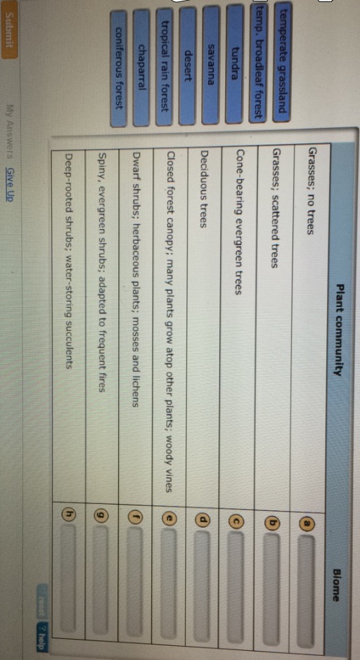 Solved g each label into the correct bin to identify whether | Chegg.com
