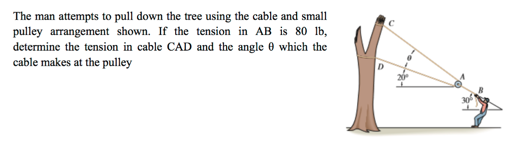 Solved The man attempts to pull down the tree using the | Chegg.com
