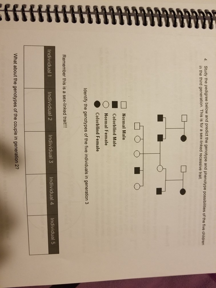 Solved Study the pedigree below and predict the genotype and | Chegg.com
