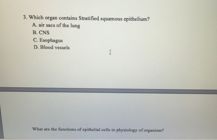 Solved Answer all question cell biology | Chegg.com
