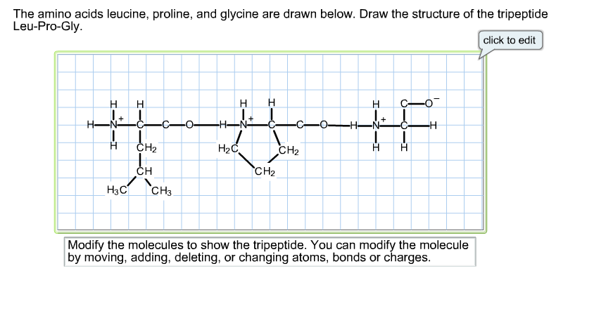 Solved The amino acids leucine, proline, and glycine are | Chegg.com