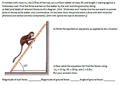 Solved A monkey with mass mm sits 2/3rds of the way up a | Chegg.com