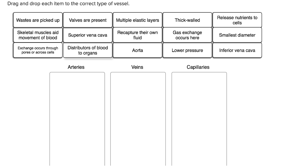 Solved Drag and drop each item to the correct type of | Chegg.com