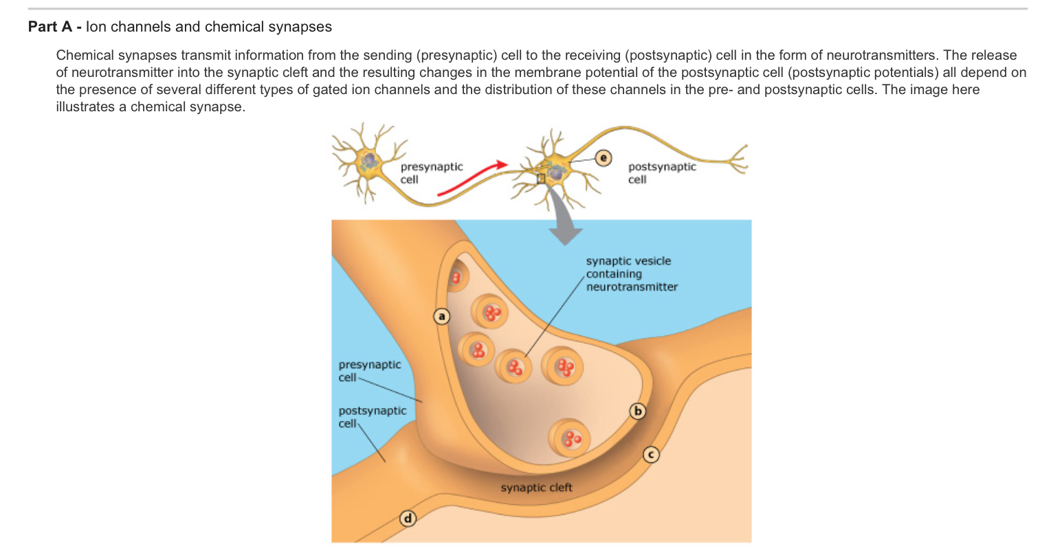 Indicate which letters (A-D) of gated ion channels | Chegg.com