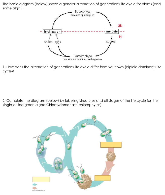 Biology Archive | April 21, 2016 | Chegg.com