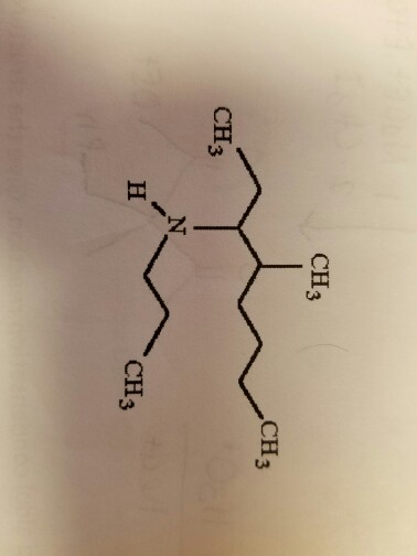 Solved CH3 CH3 CH3 CH3 | Chegg.com