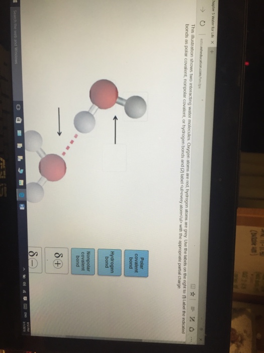 Solved This illustration shows two interacting water | Chegg.com