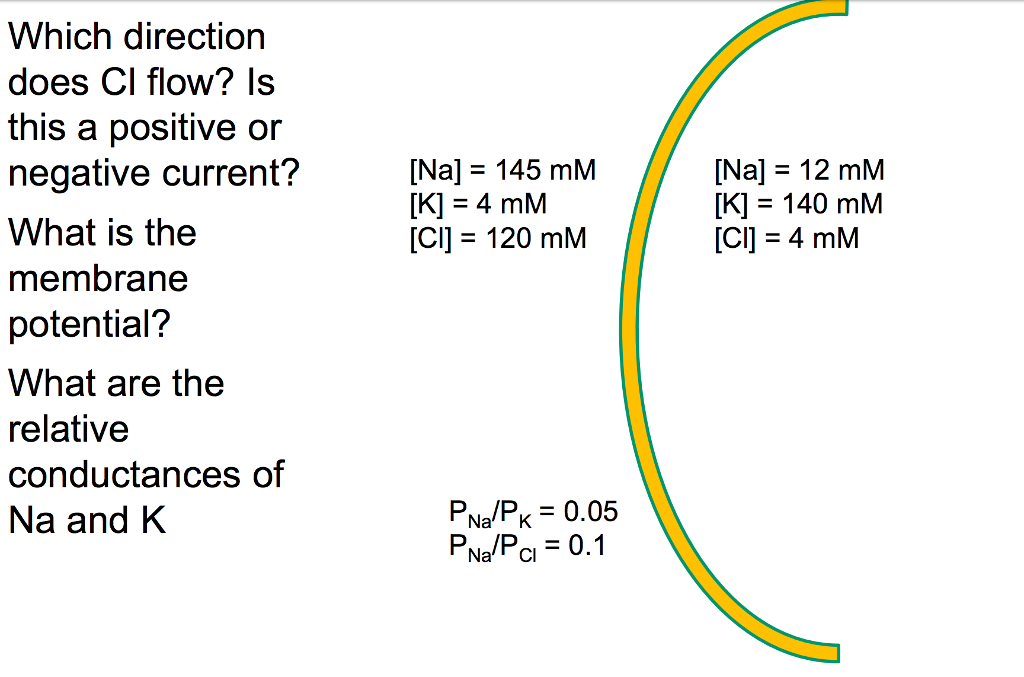 Which direction does Cl flow? Is this a positive or | Chegg.com