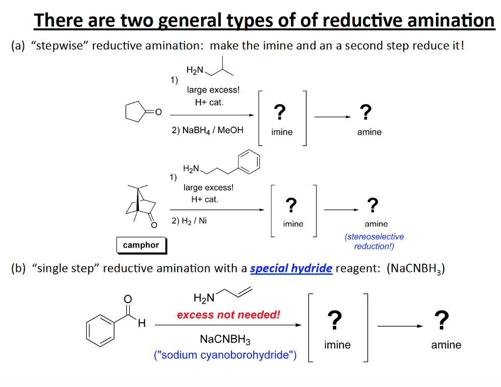 Solved (a) "stepwise" reductive amination: make the imine | Chegg.com