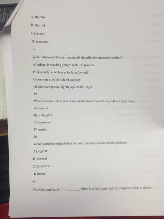 Solved ractice Which statement best describes the | Chegg.com