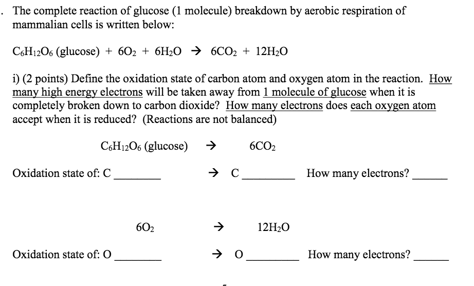 6o2 Molecule