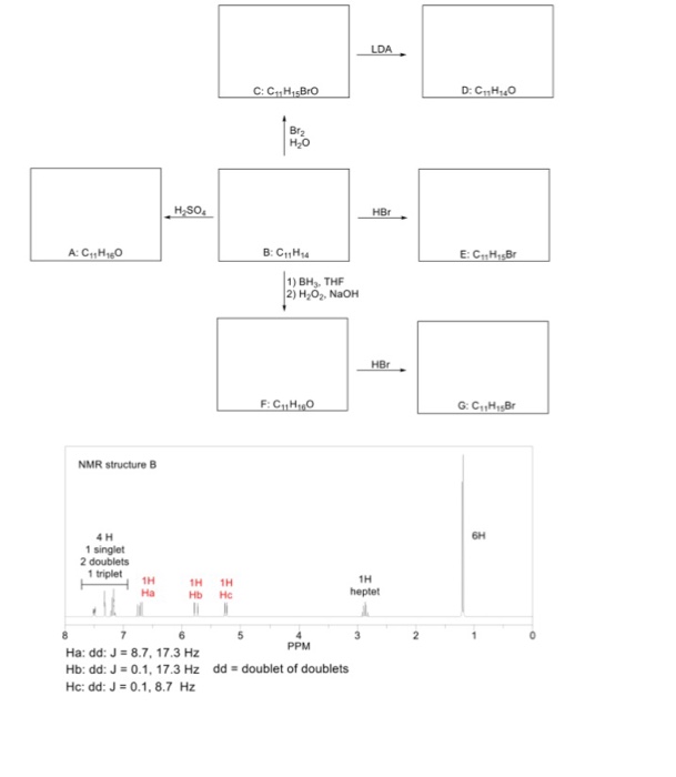 Solved C: C11H15 Bro Br2 HBr B: C11H14 A: C11H10 1) BH3, THF | Chegg.com