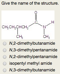Solved Give the name of the structure. N, | Chegg.com