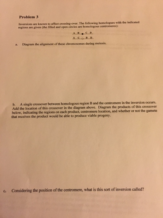 Solved Inversions are known to affect crossing-over. The | Chegg.com