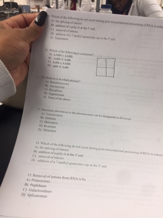 Solved Which of the following do not occur during | Chegg.com