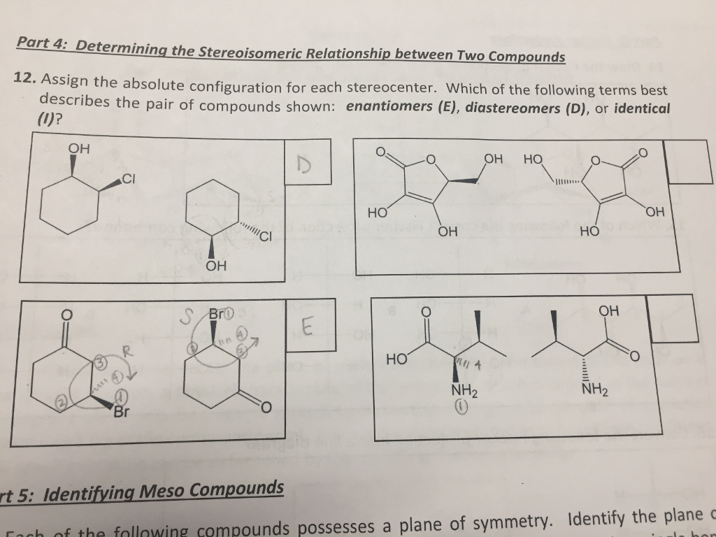 Solved Assign the absolute configuration for each | Chegg.com